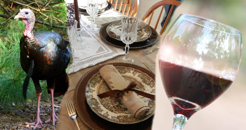 The Garden of Memory